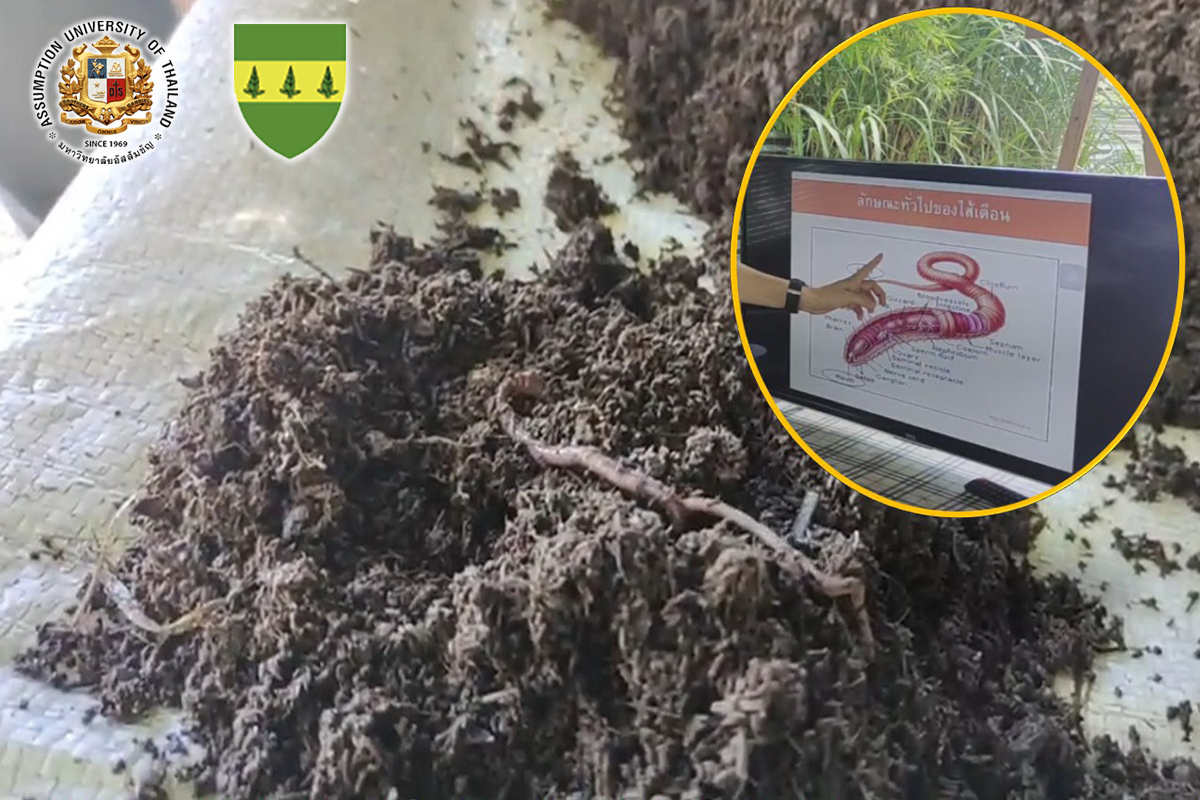 Assumption University of Thailand's Earthworm Project for Sustainable ...